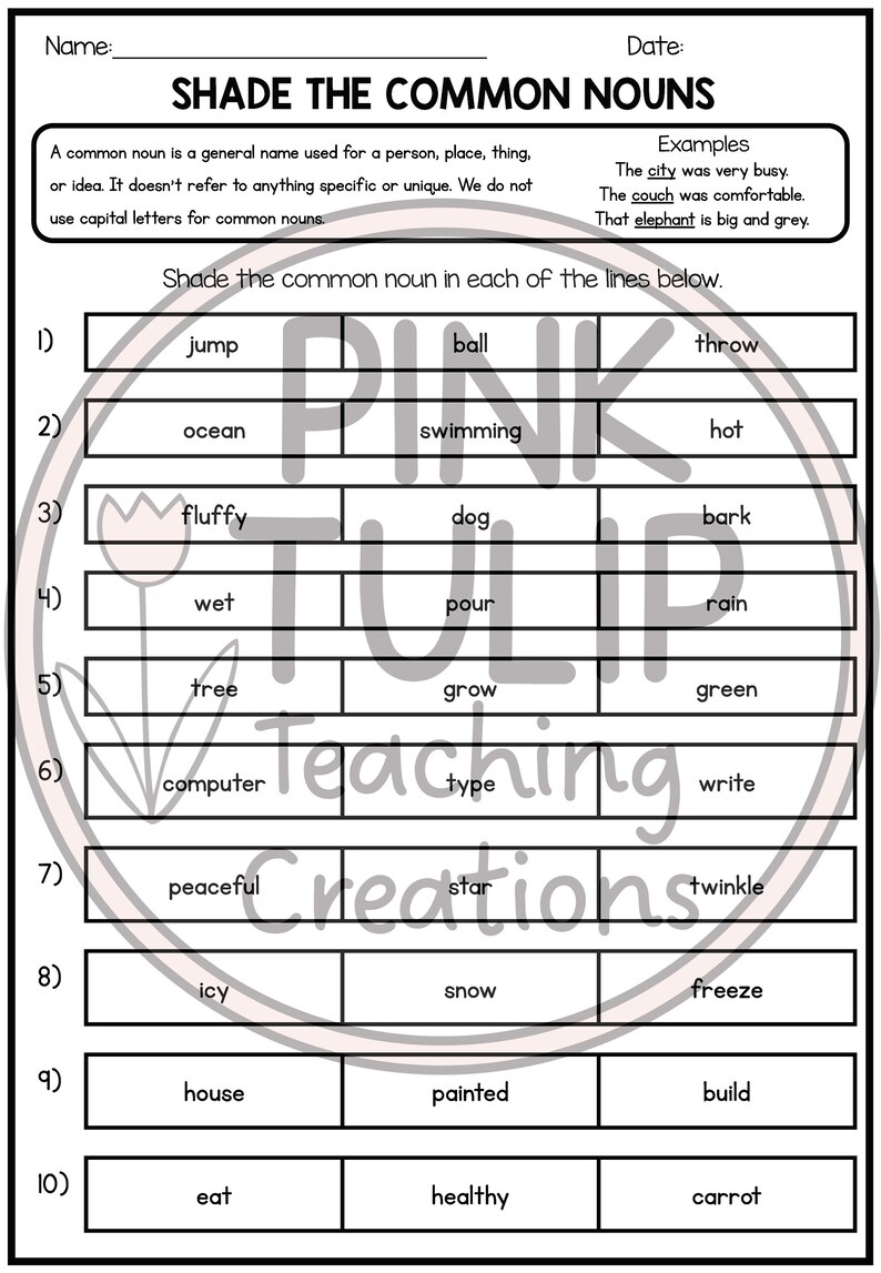 Common Nouns Worksheet Pack No Prep Printables With Answers - Etsy