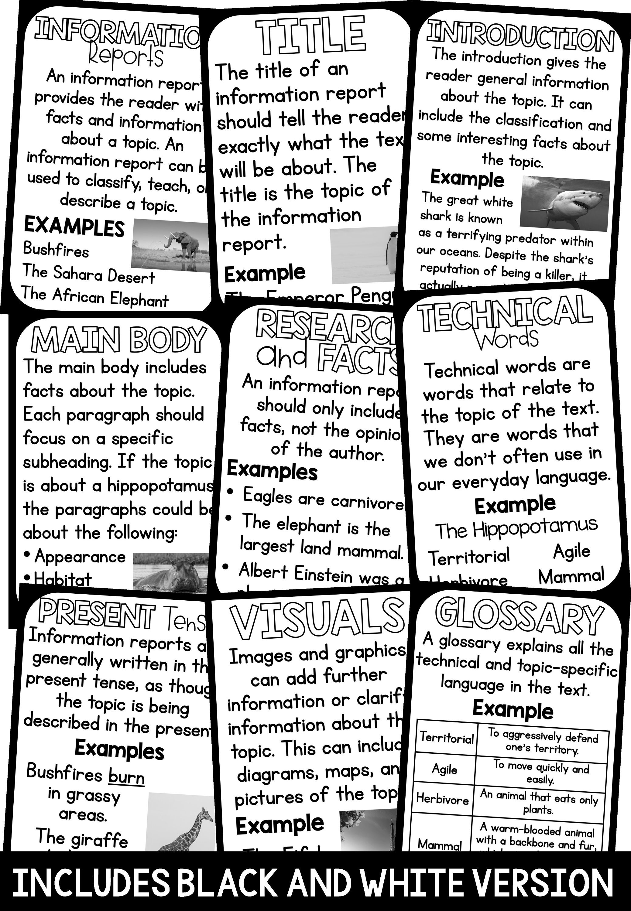 Information Text Posters - Classroom Decor - Etsy