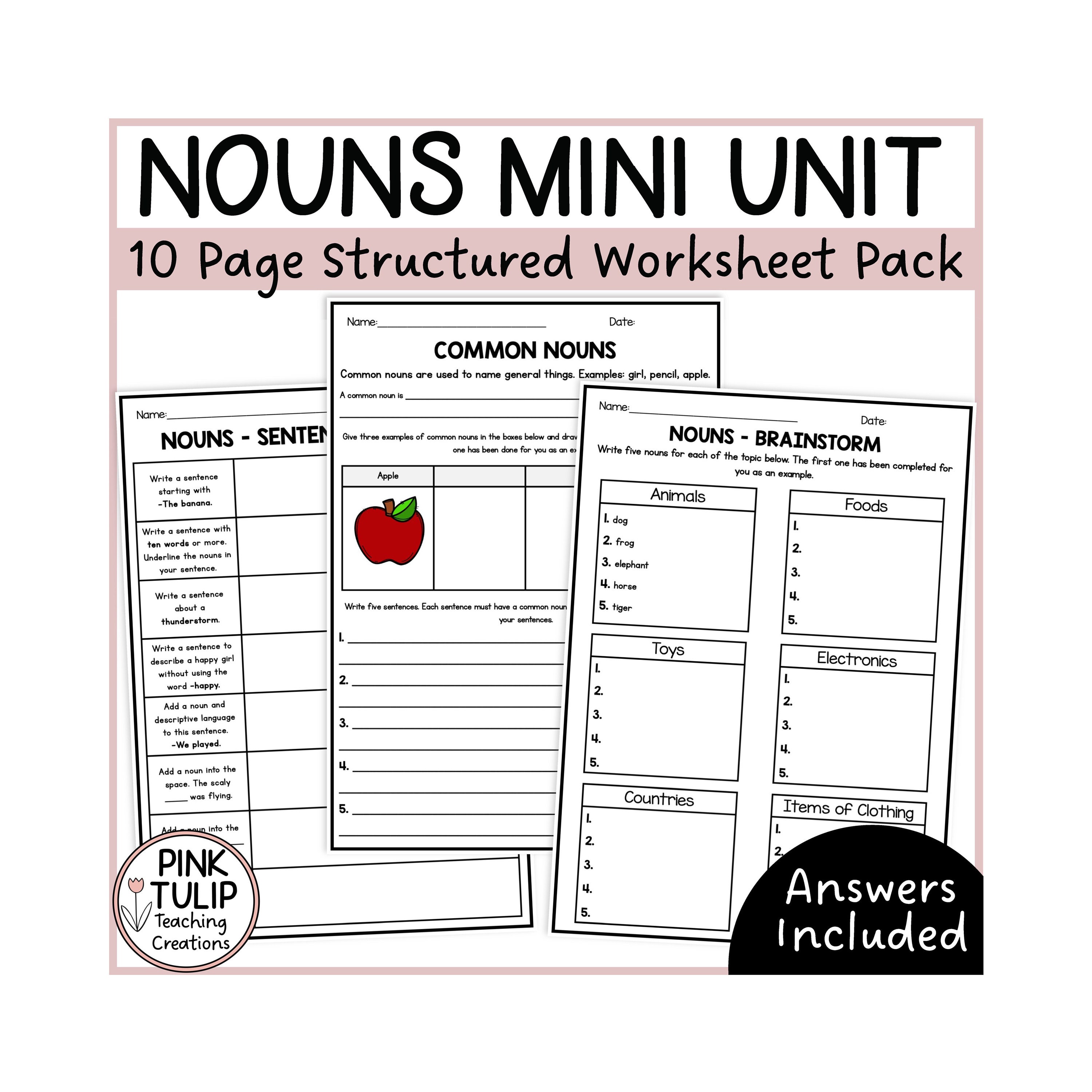 Nouns Mini Unit - Structured Worksheet Pack - Etsy