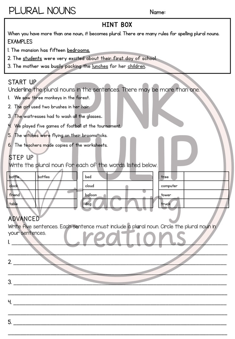 Common Nouns and Plural Nouns - Grammar Worksheets With Answers - Etsy