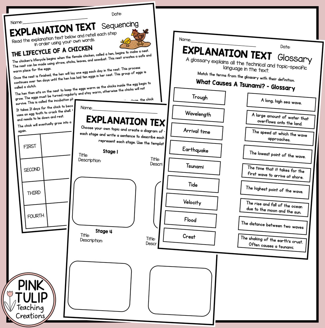 Explanation Text Writing Worksheet Pack - No Prep Lesson Ideas - Etsy