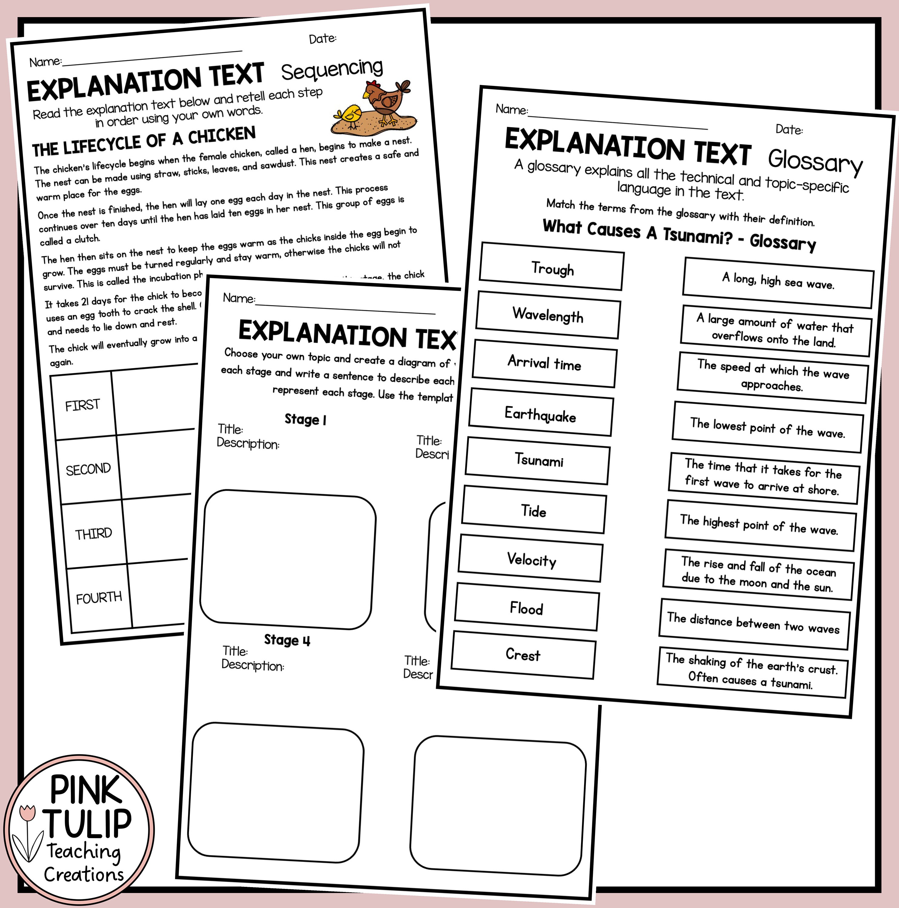 Explanation Text Writing Worksheet Pack - No Prep Lesson Ideas - Etsy