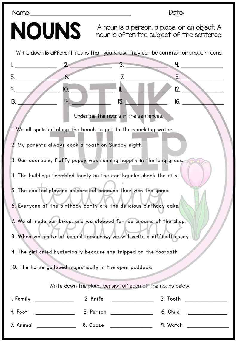 Understanding Nouns Worksheets No Prep Printables - Etsy