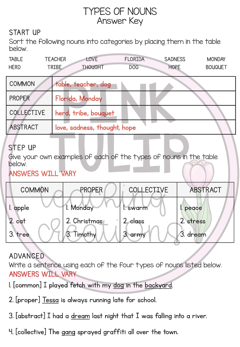 Nouns Pronouns and Capital Letters Grammar Worksheets With - Etsy