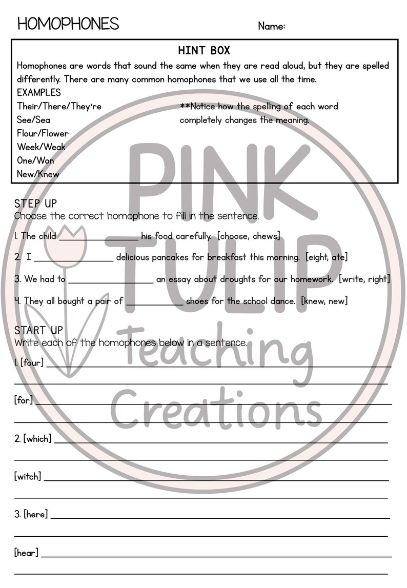 Homophones and Homographs - Grammar Worksheets With Answers - Etsy