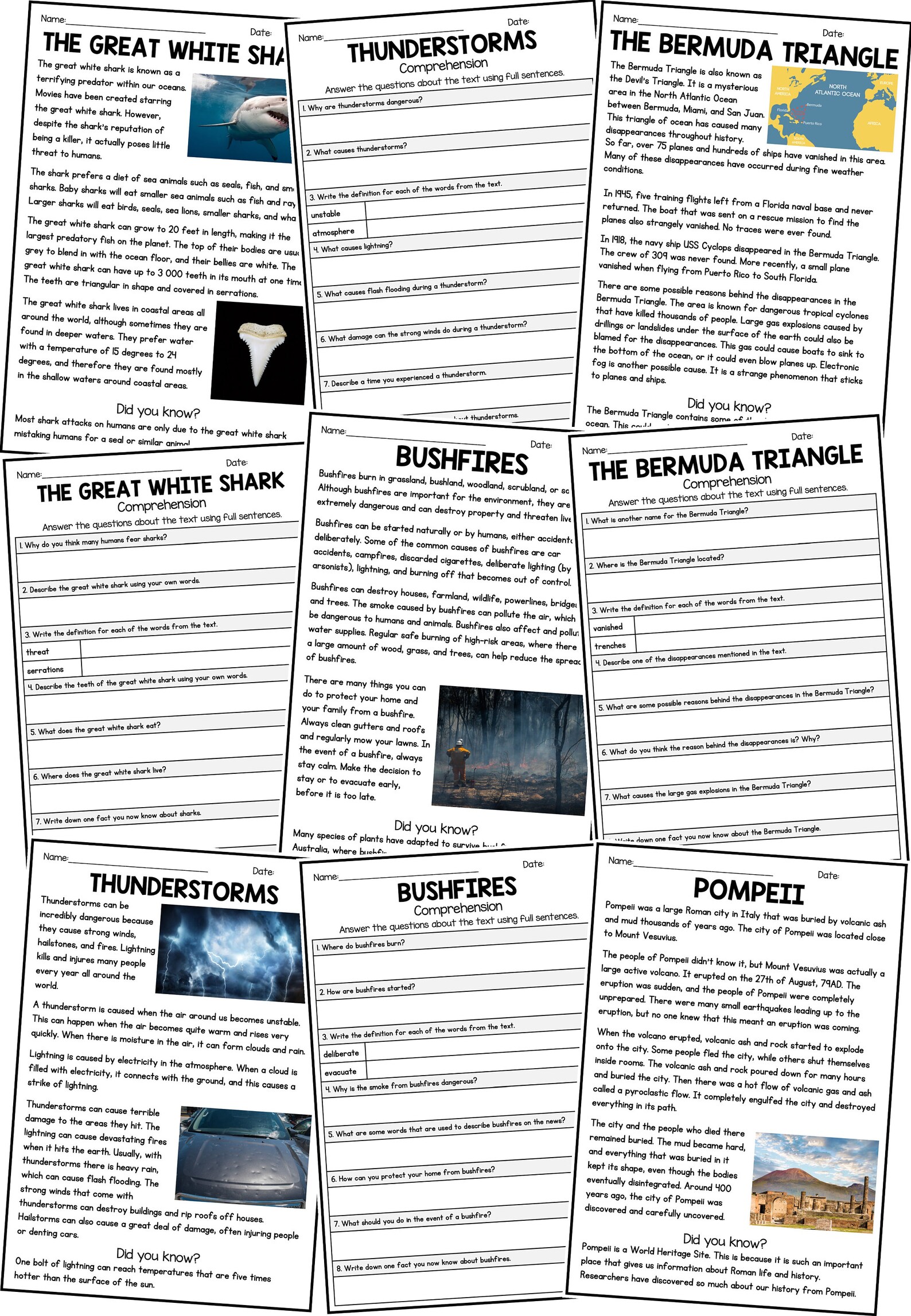 Information Text Examples - Ten Reading Samples With Comprehension - Etsy