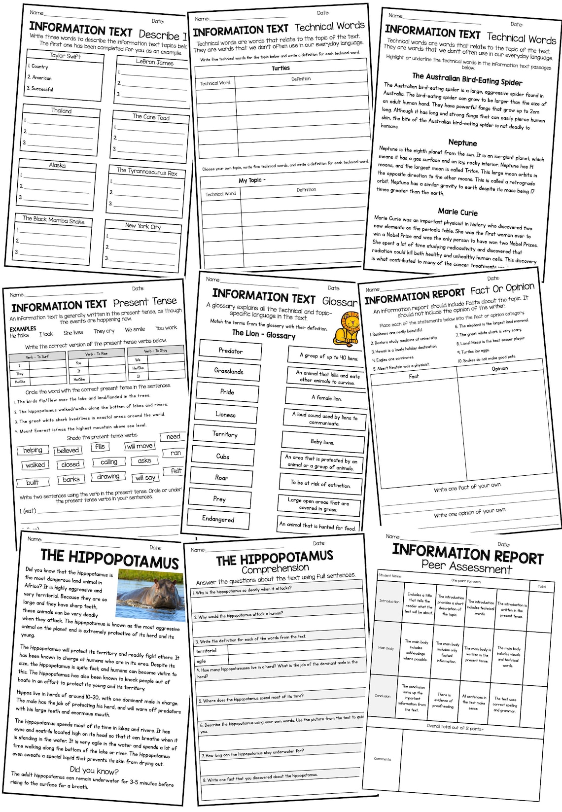 Information Text Reading and Writing Worksheet Pack No Prep Lesson ...