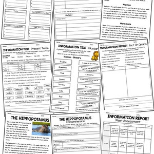 Information Text Reading and Writing Worksheet Pack - No Prep Lesson ...