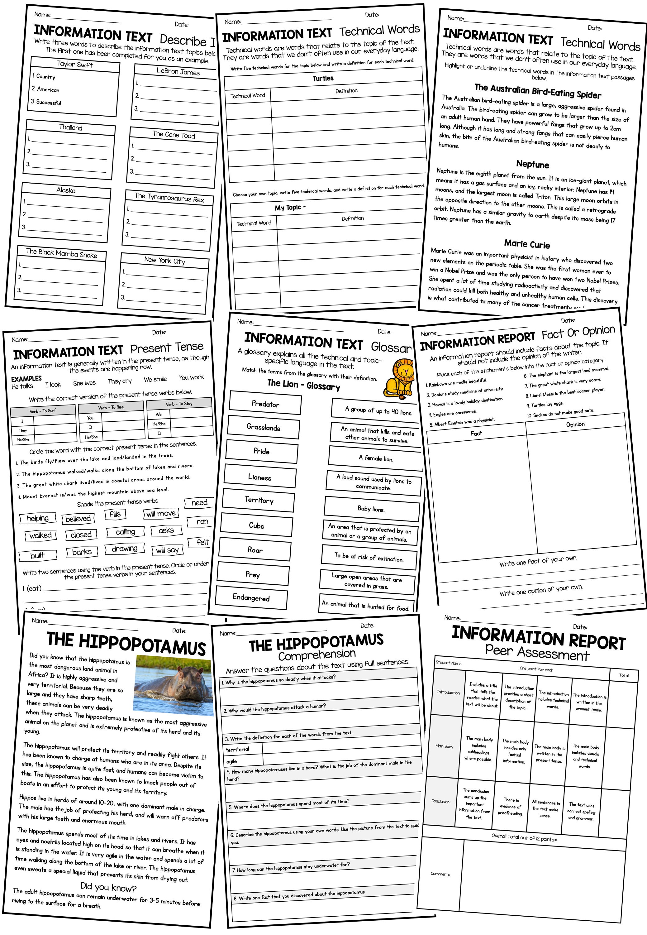 Information Text Reading and Writing Worksheet Pack No Prep Lesson ...