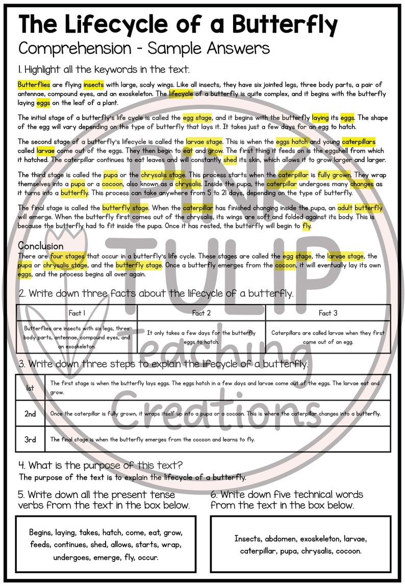 Explanation Text - the Lifecycle of a Butterfly - Etsy