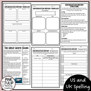Information Text Reading and Writing Worksheet Pack - No Prep Lesson ...