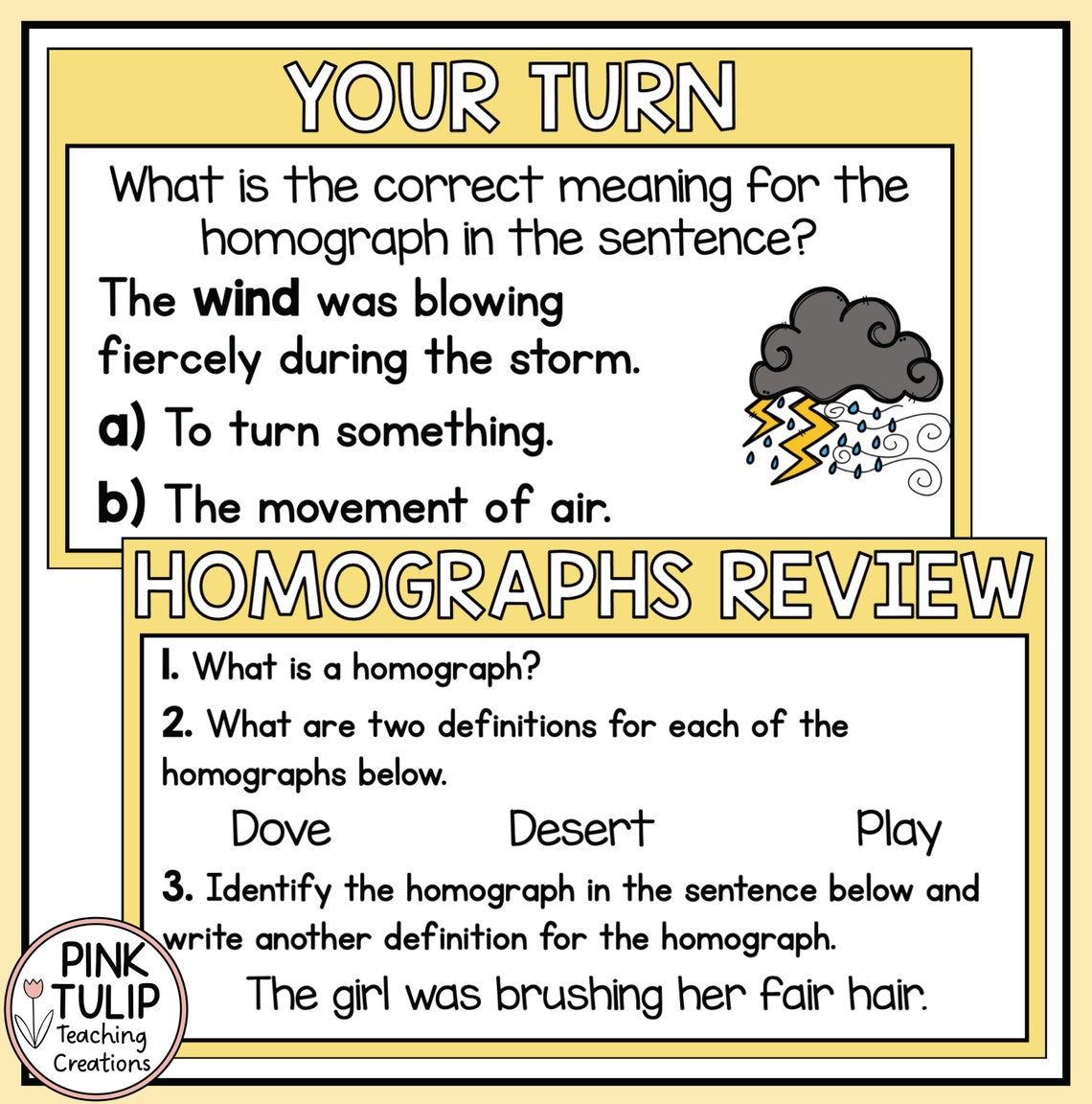 Homographs Grammar Powerpoint Guided Teaching - Etsy