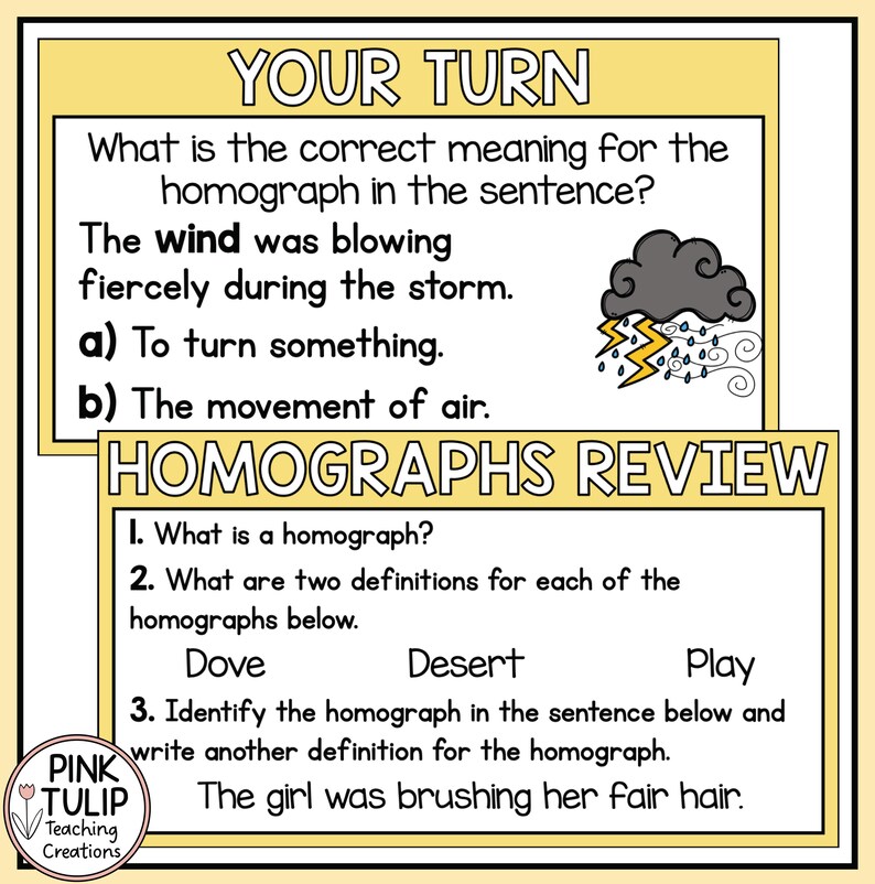 Homographs Grammar Powerpoint Guided Teaching - Etsy