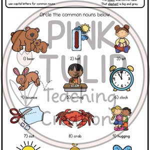 Common Nouns Worksheet Pack - No Prep Printables With Answers - Etsy