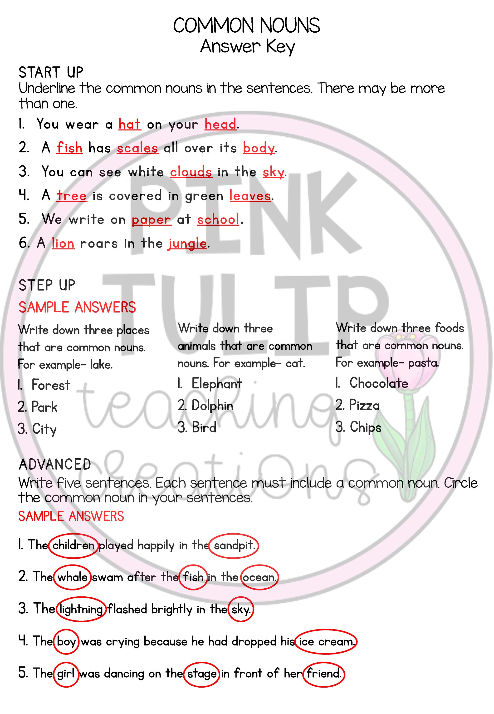 Common Nouns and Plural Nouns Grammar Worksheets With - Etsy Australia