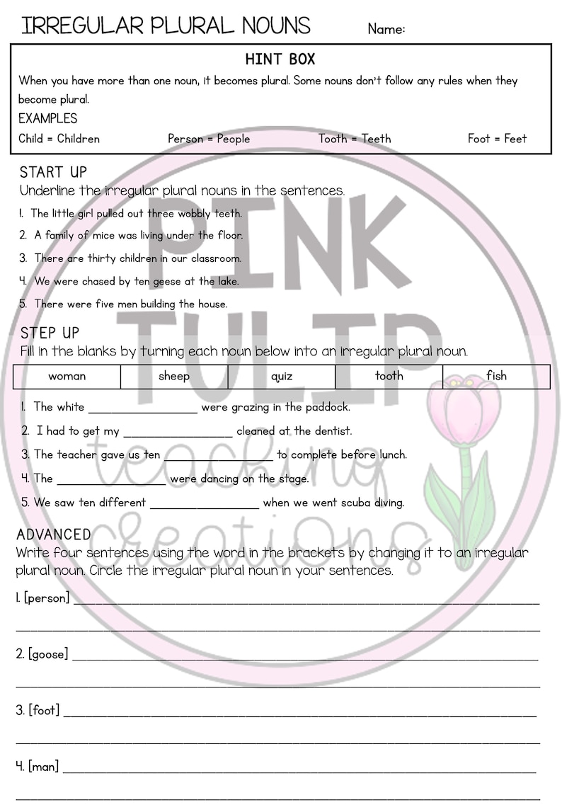 Irregular Plurals and Collective Nouns Grammar Worksheets - Etsy