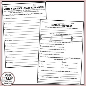 Nouns Mini Unit - Structured Worksheet Pack - Etsy