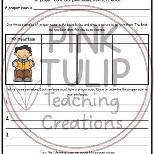 Nouns Mini Unit - Structured Worksheet Pack - Etsy
