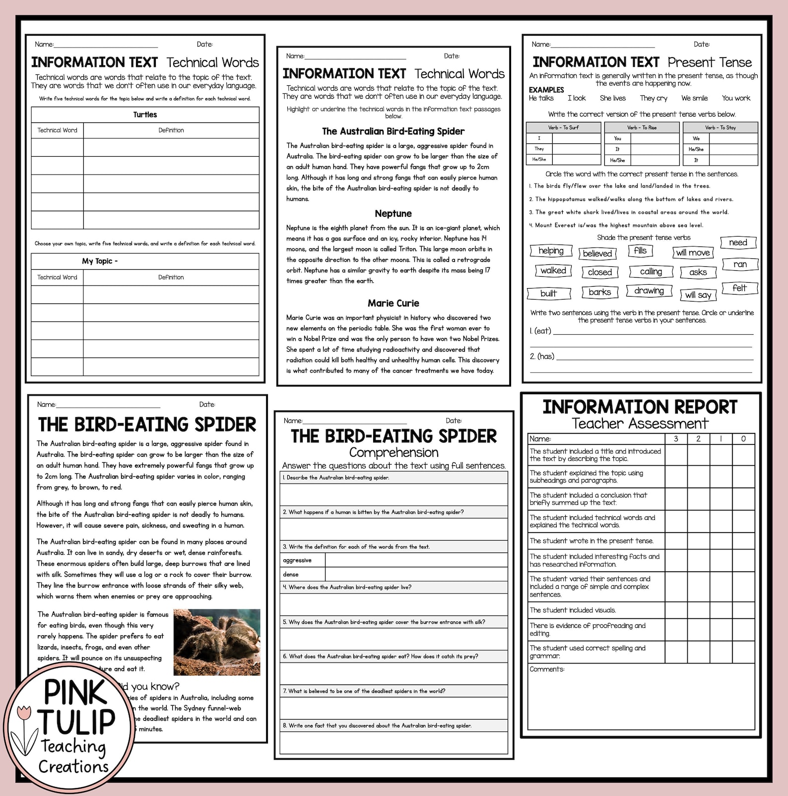 Information Text Reading and Writing Worksheet Pack No Prep Lesson ...