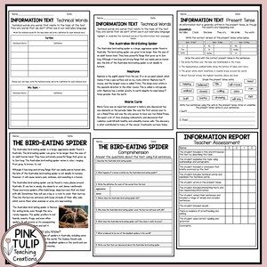 Information Text Reading and Writing Worksheet Pack - No Prep Lesson ...