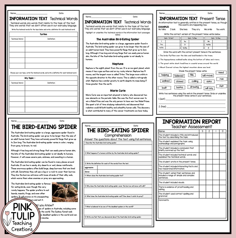 Information Text Reading and Writing Worksheet Pack - No Prep Lesson ...