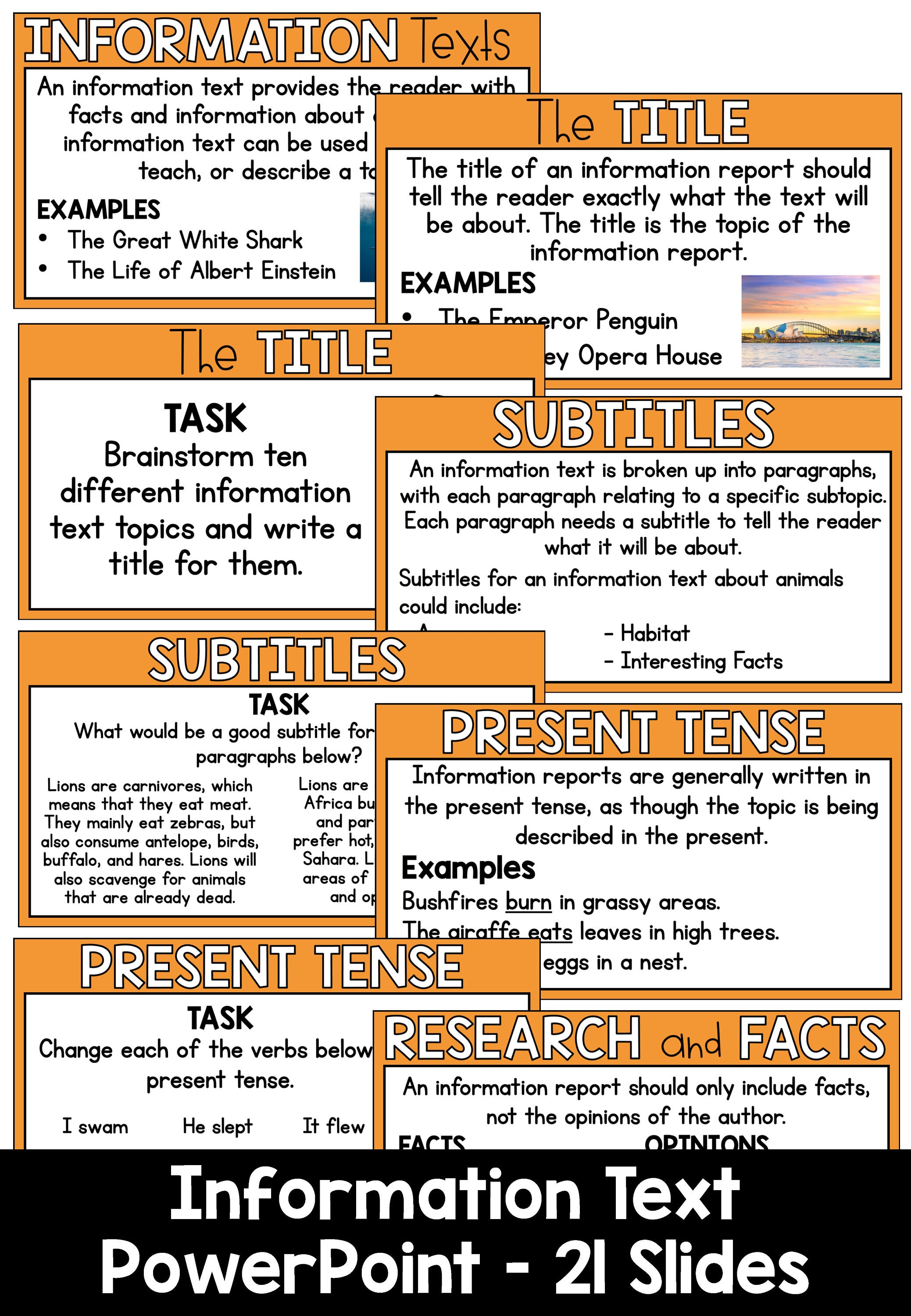 Information Text Reading and Writing Bundle - Etsy