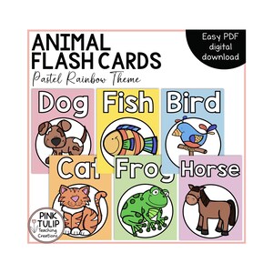 Animal Flash Cards Pastel Rainbow Theme - Etsy