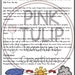 Explanation Text Examples - Ten Reading Samples With Comprehension - Etsy