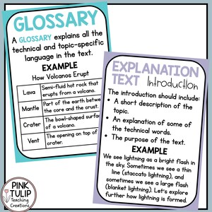 Explanation Text Posters - Classroom Decor - Etsy