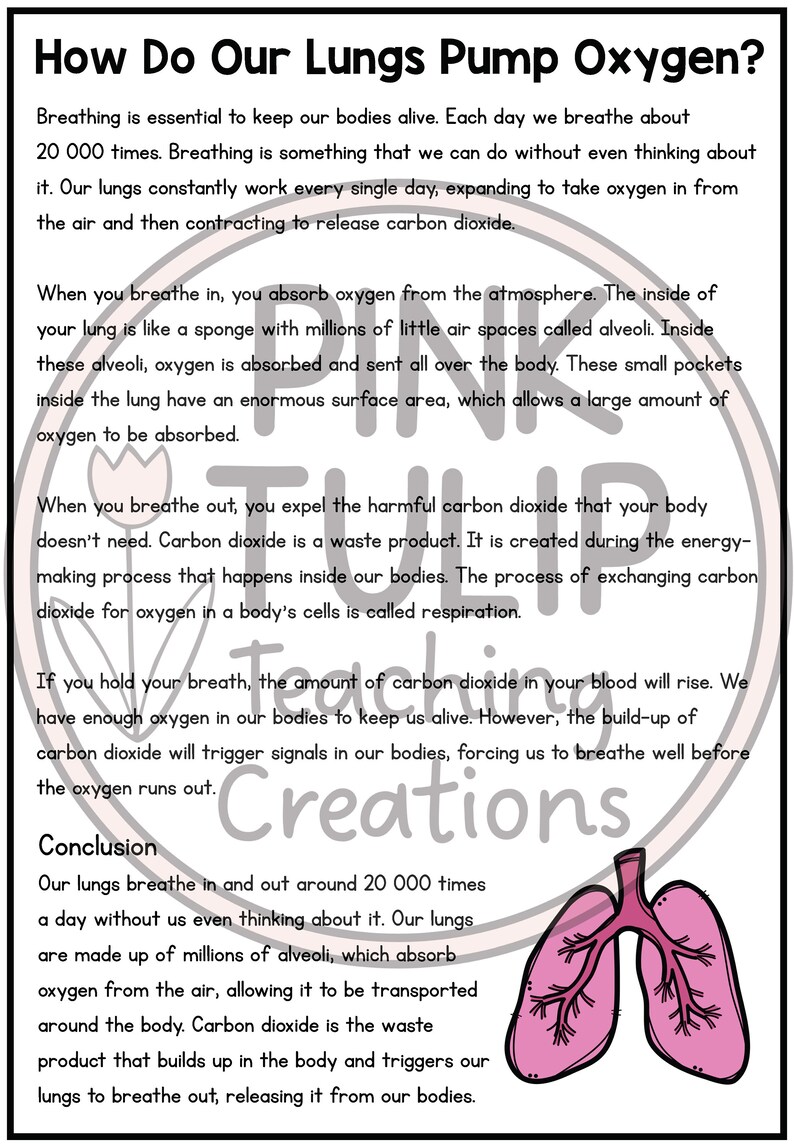 Explanation Text - How Do Our Lungs Work? - Etsy