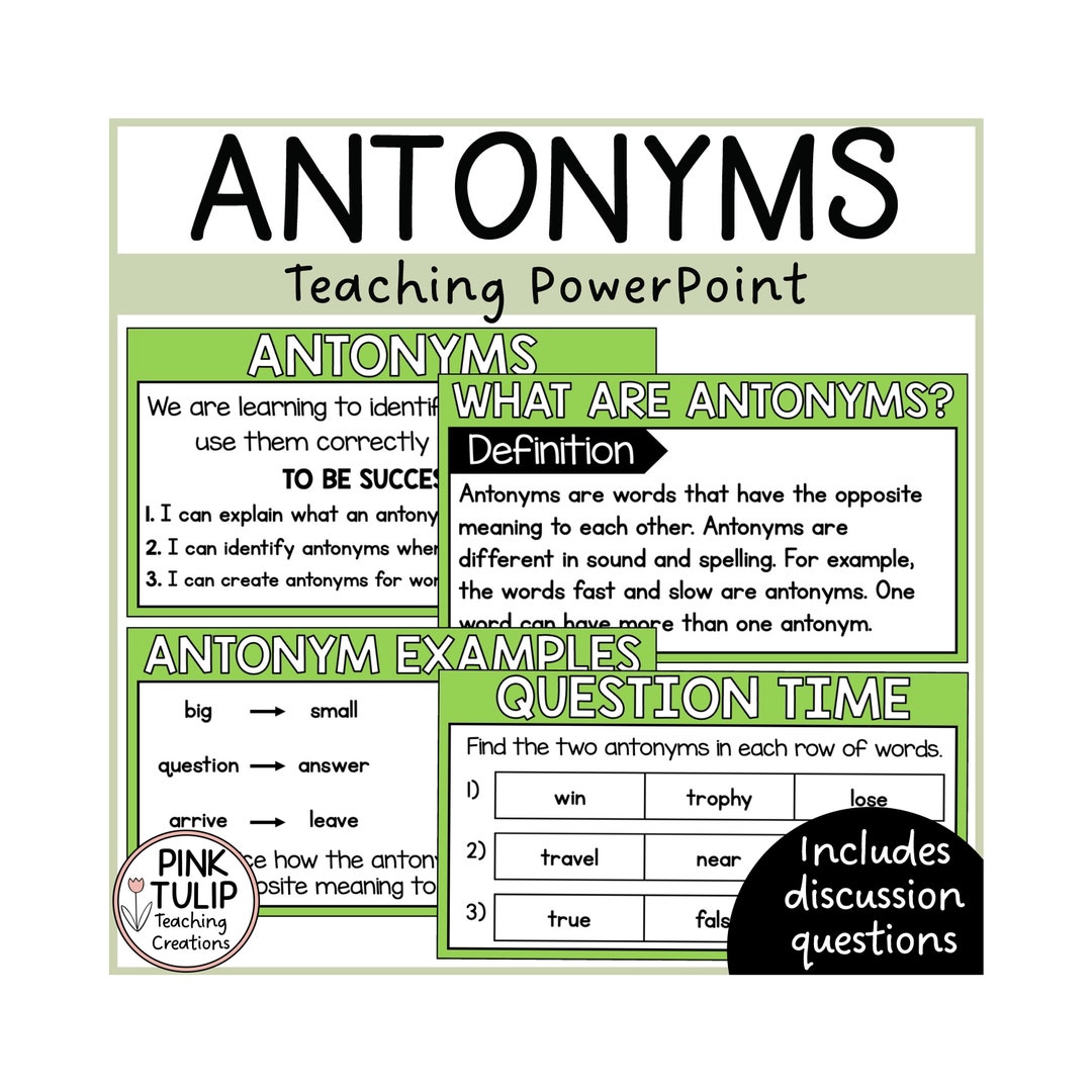 Antonyms Grammar Powerpoint - Guided Teaching - Etsy