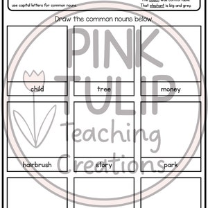 Common Nouns Worksheet Pack - No Prep Printables With Answers - Etsy