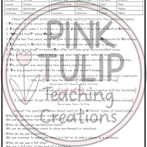 Using Punctuation Grammar Worksheets - No Prep Printables - Etsy