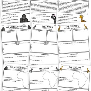 African Animals - Reading Comprehension Pack - Etsy