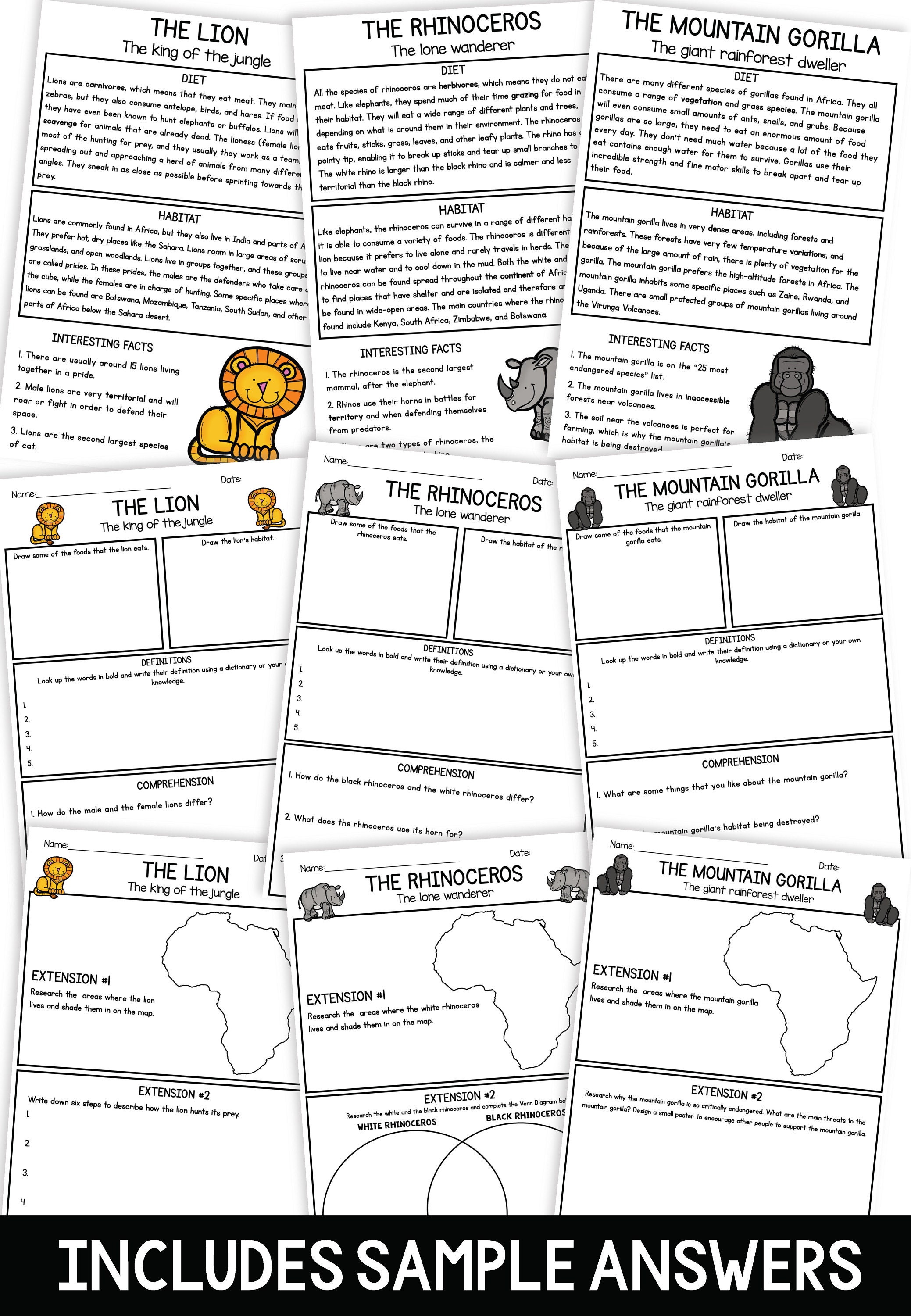 African Animals - Reading Comprehension Pack - Etsy