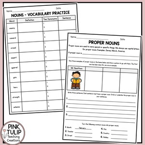 Nouns Mini Unit - Structured Worksheet Pack - Etsy