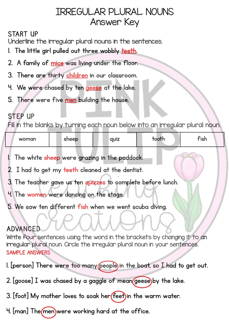 Irregular Plurals and Collective Nouns Grammar Worksheets - Etsy