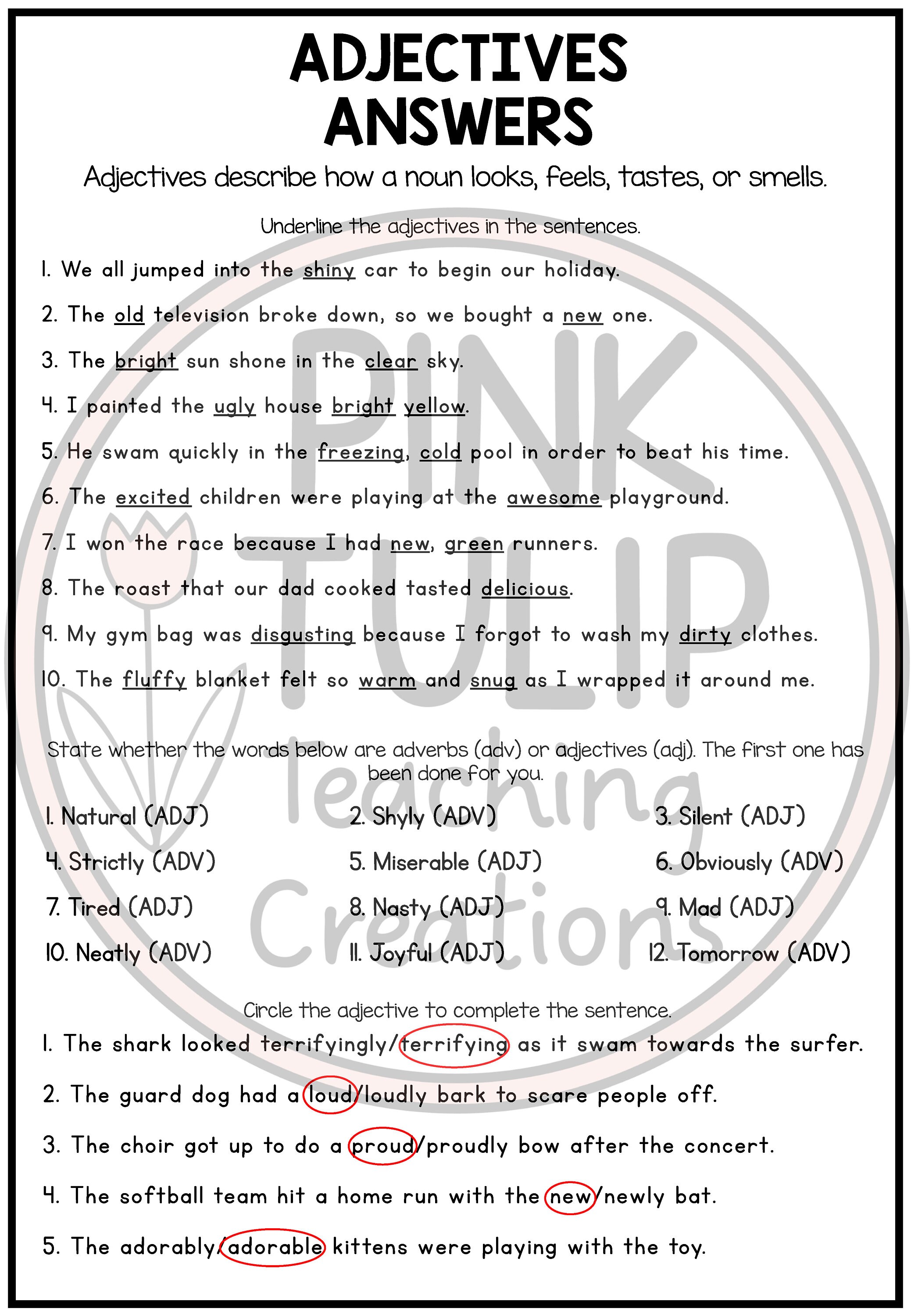 Understanding Adjectives Worksheets - No Prep Printables - Etsy
