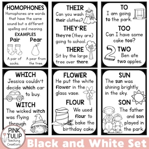 Homophones Posters Classroom Decor - Etsy