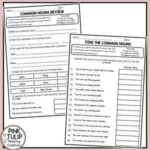 Common Nouns Worksheet Pack - No Prep Printables With Answers - Etsy