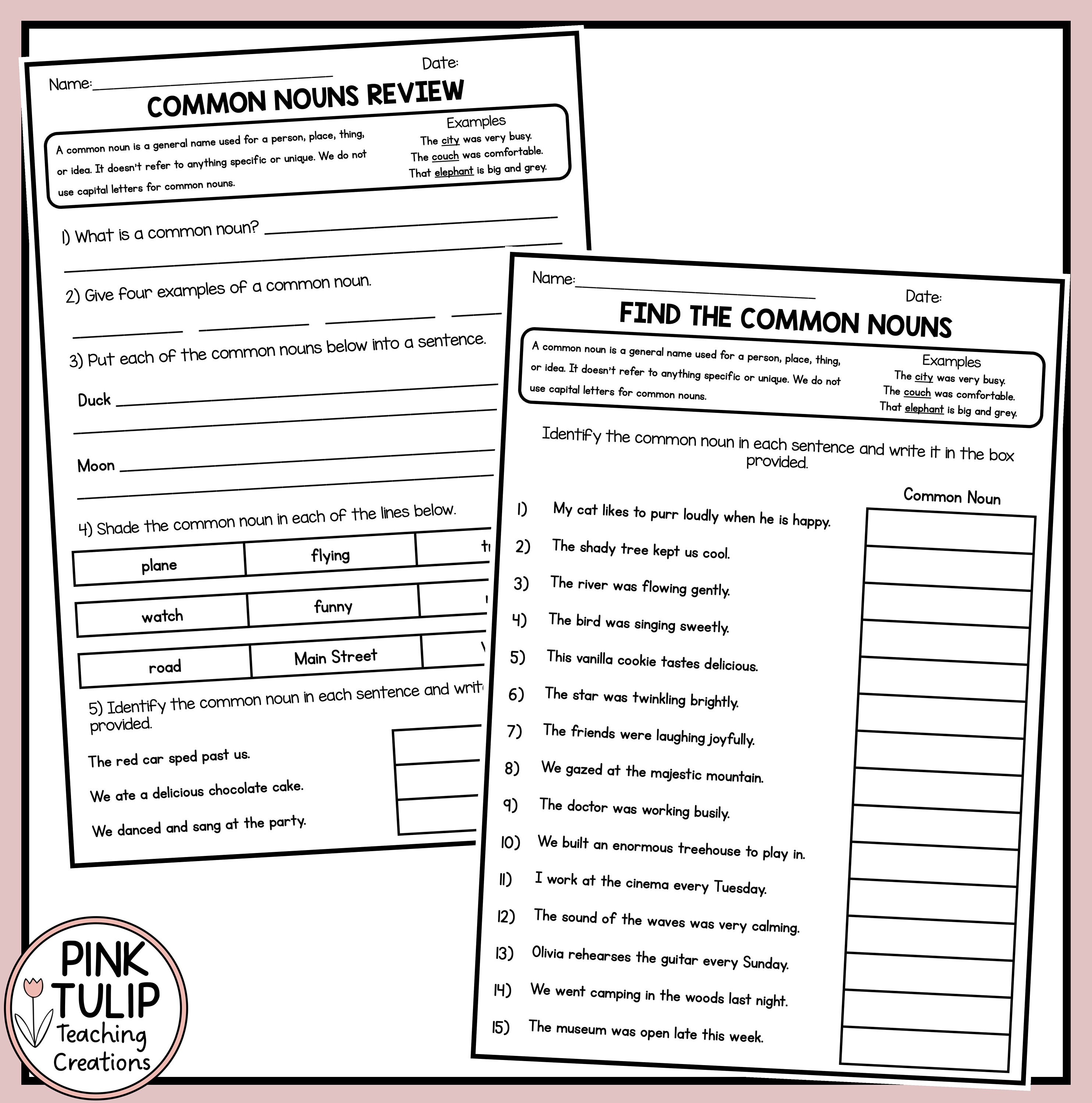 Common Nouns Worksheet Pack No Prep Printables With Answers - Etsy
