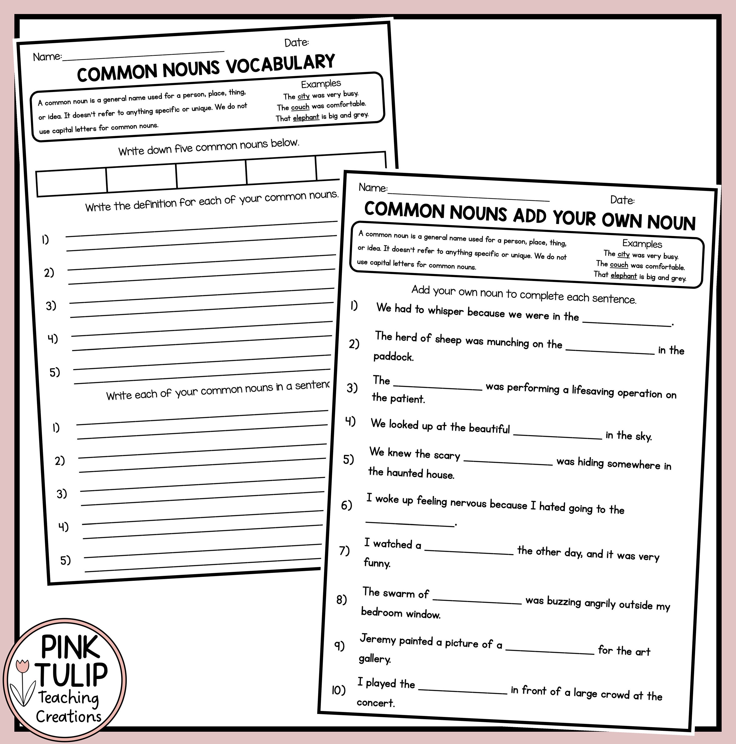 Common Nouns Worksheet Pack No Prep Printables With Answers - Etsy