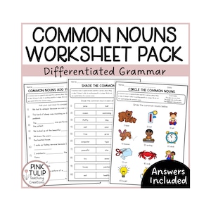 Common Nouns Worksheet Pack - No Prep Printables With Answers - Etsy