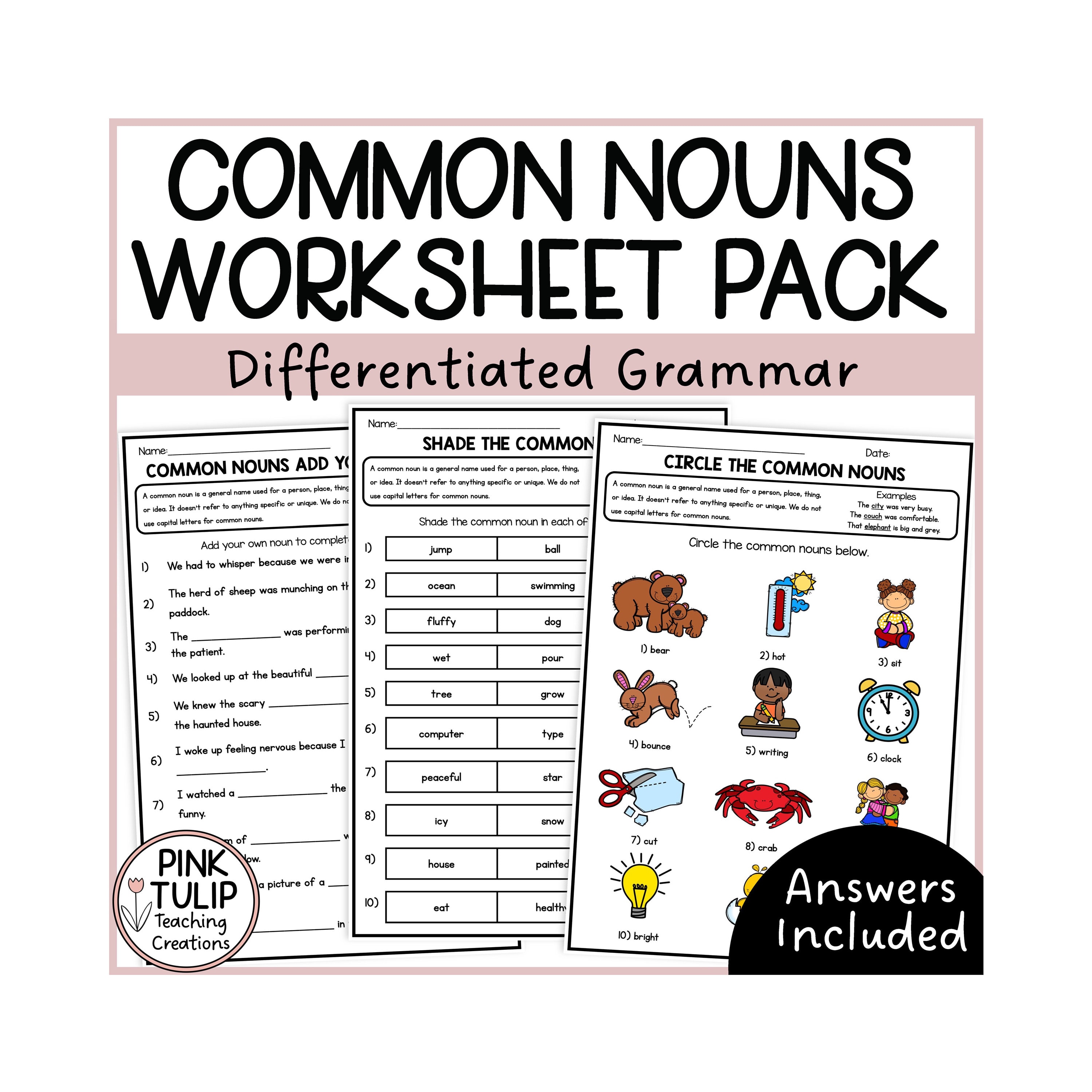 Common Nouns Worksheet Pack No Prep Printables With Answers - Etsy