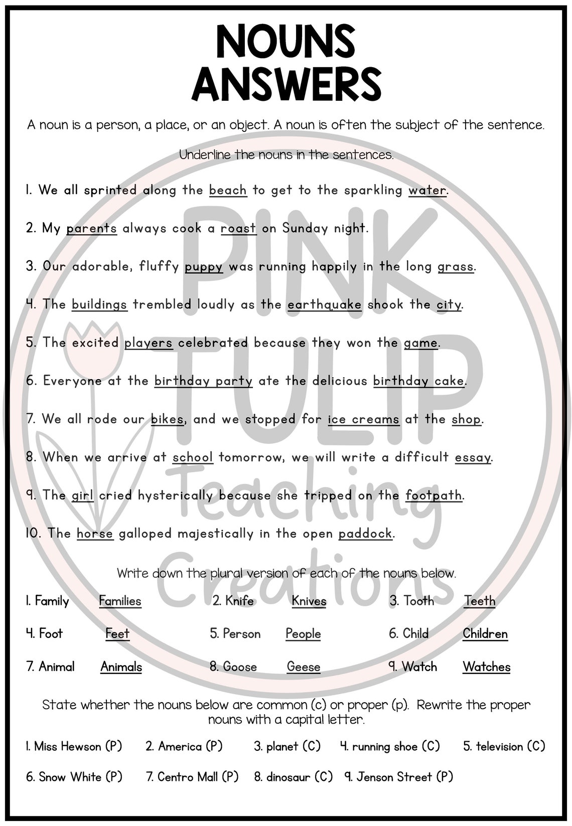 Understanding Nouns Worksheets - No Prep Printables - Etsy