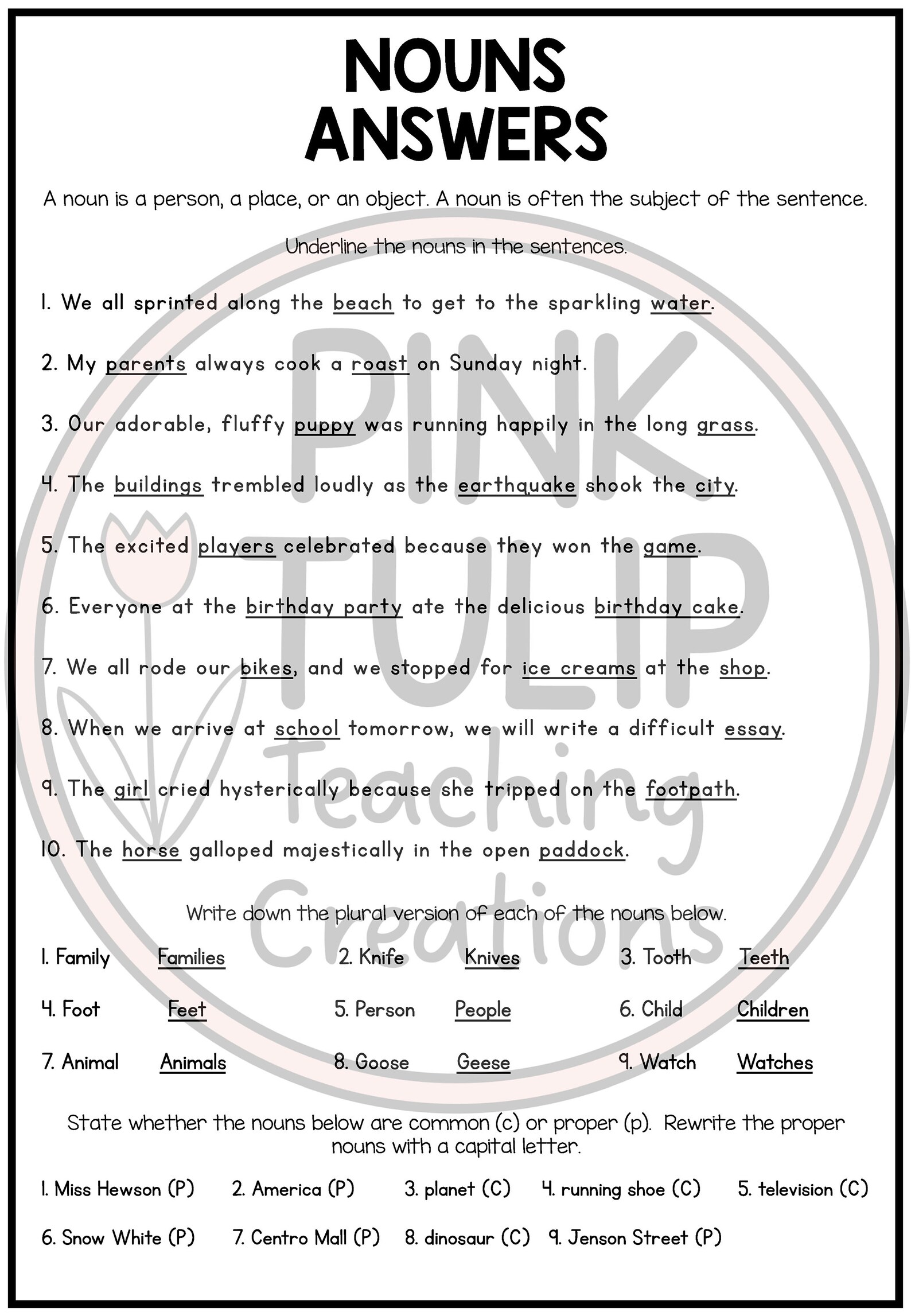 Understanding Nouns Worksheets - No Prep Printables - Etsy
