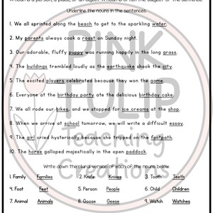 Understanding Nouns Worksheets - No Prep Printables - Etsy