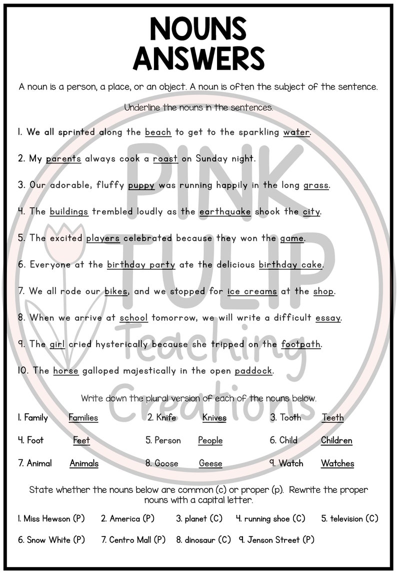 Understanding Nouns Worksheets - No Prep Printables - Etsy