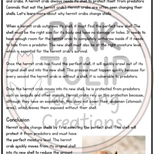 Explanation Text - How Hermit Crabs Change Shells - Etsy