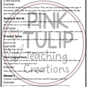 Explanation Writing - No Prep Printables - Etsy